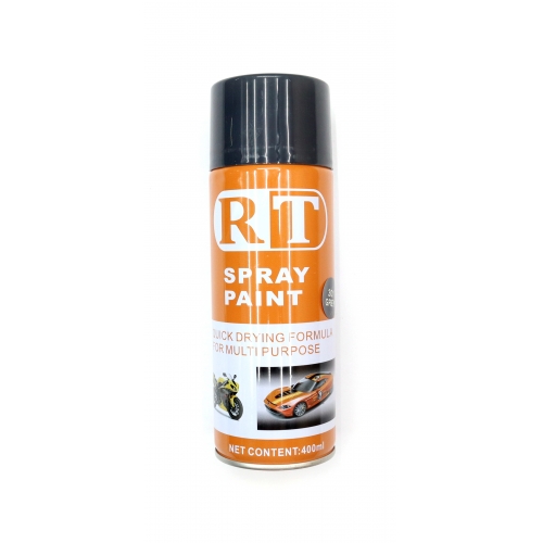 RT Spray Paint 301# - Grey Color